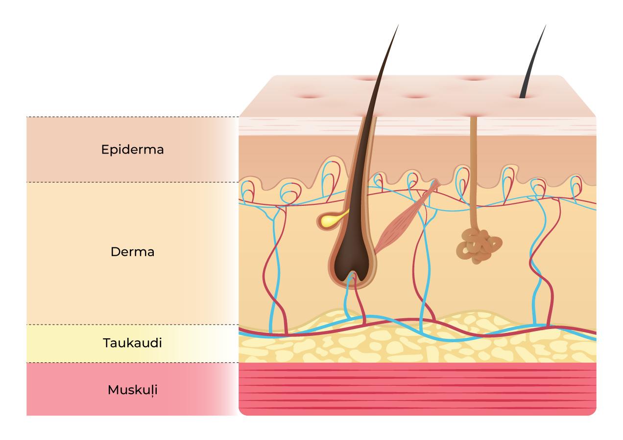 Rehabilitācija pie apdegumiem